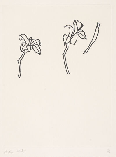 Edges | Alex Katz | Colby College Museum of Art